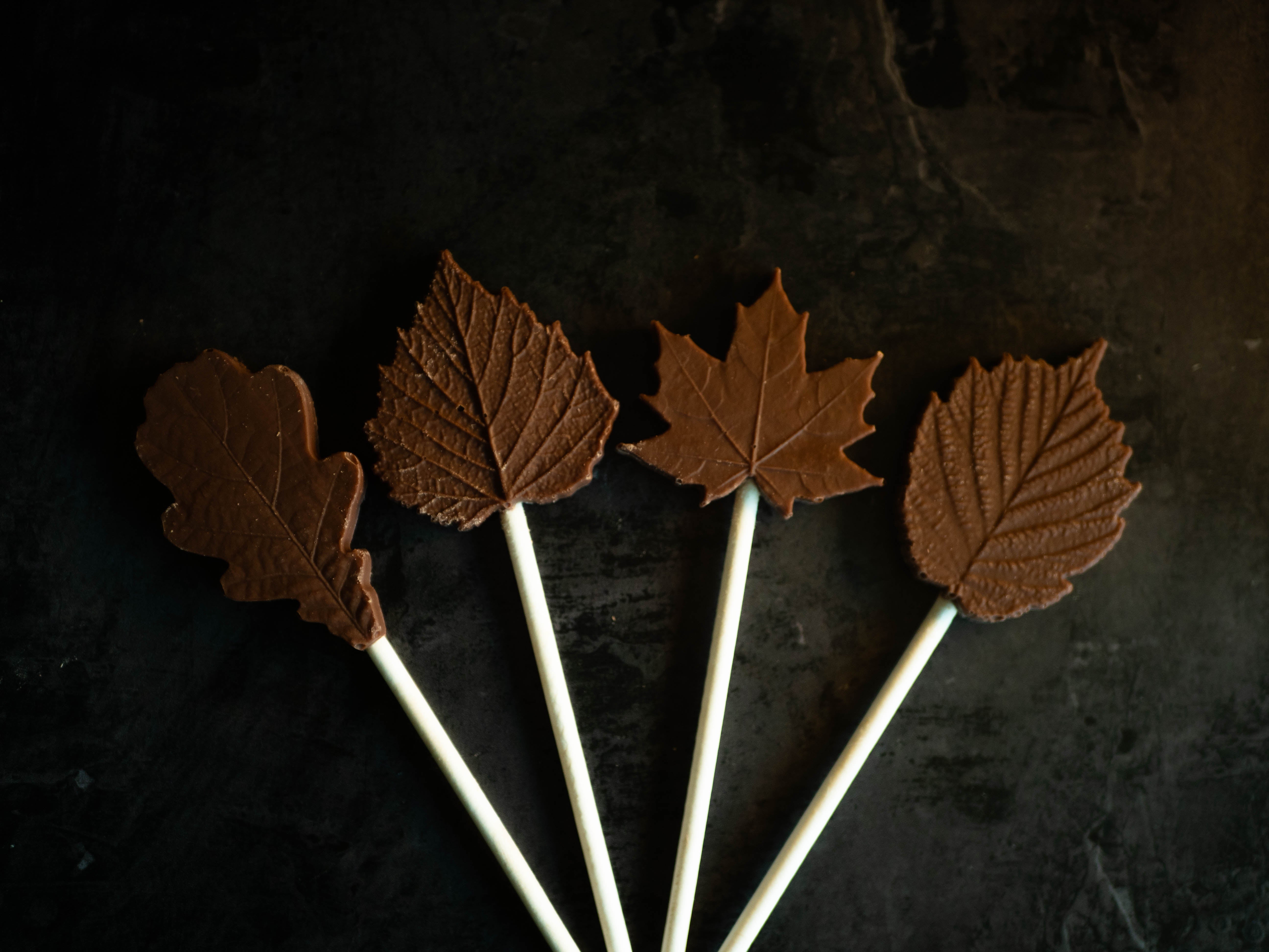 Chocolate Tree Leaf Lollipops | Order Online | RadChocs UK